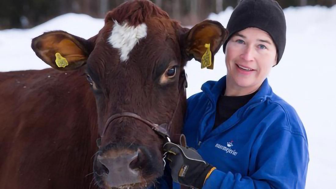 Norrmejerier är en ekonomisk förening, ett kooperativ som ägs av de ...